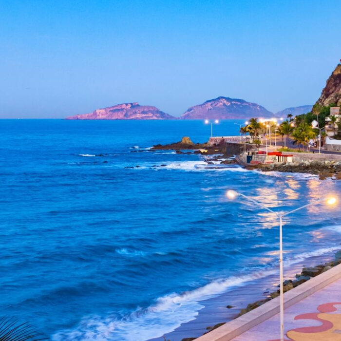 Artículos - Página 4 de 7 - SEPSISA | Empresa de Seguridad Privada en ...